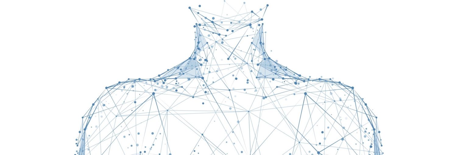 LIVE Dissection of the Human Fascial System with Carla Stecco ...