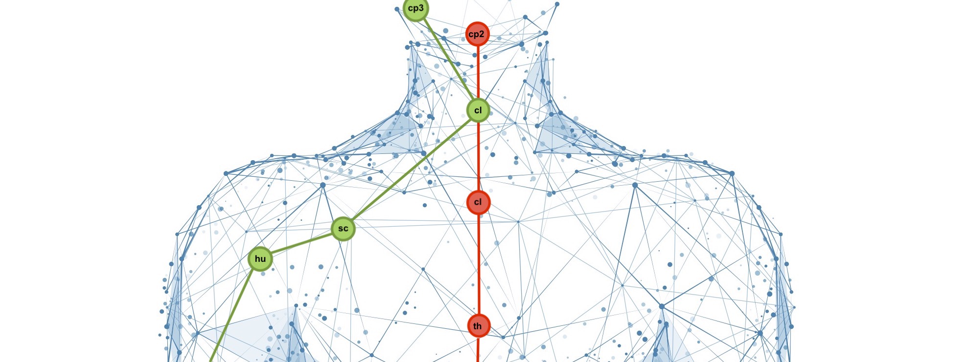 STECCO – Fascial Manipulation – Level I – Physeducation